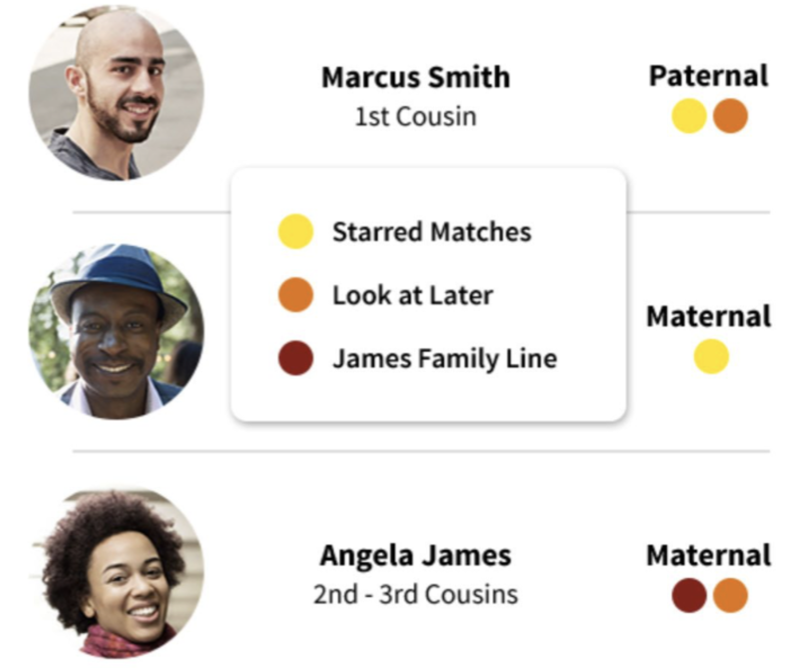 AncestryDNA’s Updated DNA Matches – The DNA Geek