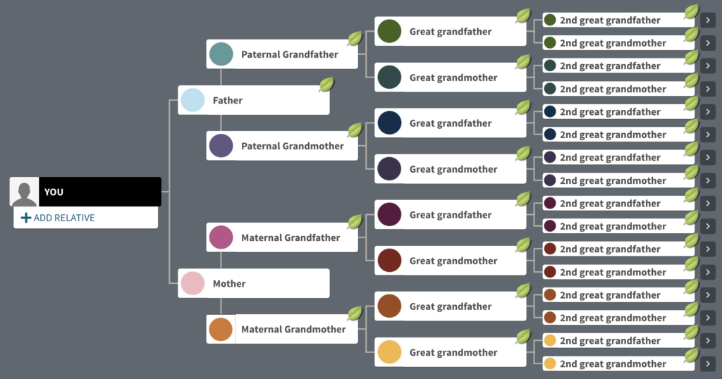 Quick Tip: Color Code Your Matches—Fast! – The DNA Geek